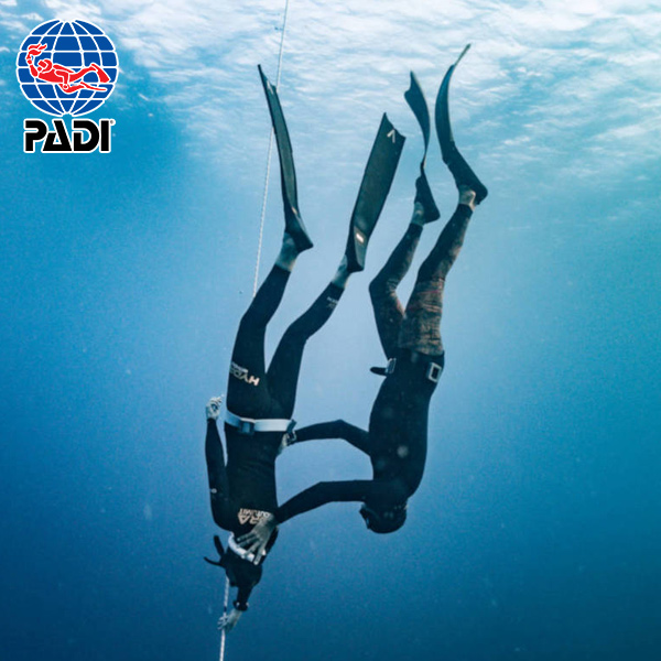 Free dive AIDA 4 | Uncle Chang Dive Resort, Sipadan, Malaysia