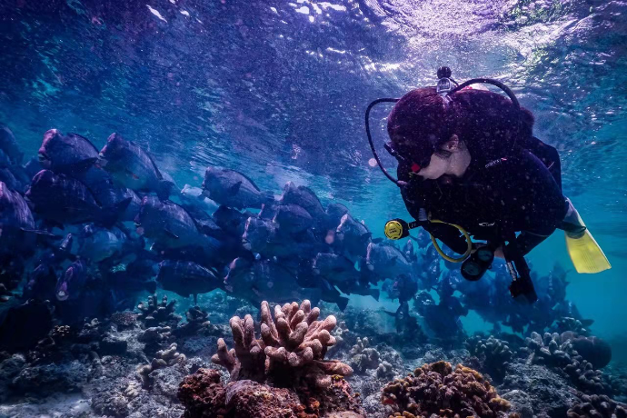 PADI Open Water + Advance Open Water | Uncle Chang Dive Resort, Sipadan ...