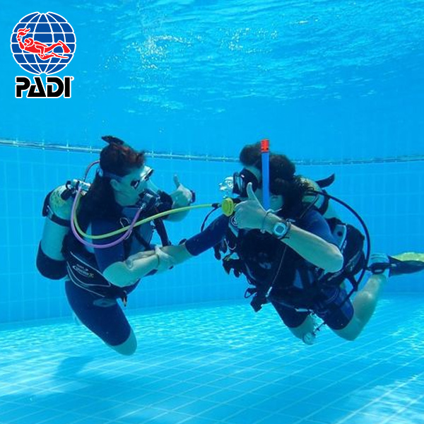 PADI ReActivate Scuba Refresher Program | Uncle Chang Dive Resort ...