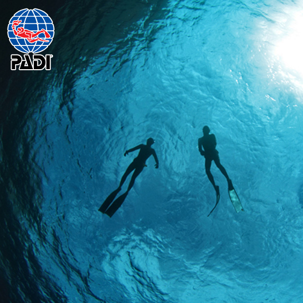 Free dive AIDA 4 | Uncle Chang Dive Resort, Sipadan, Malaysia